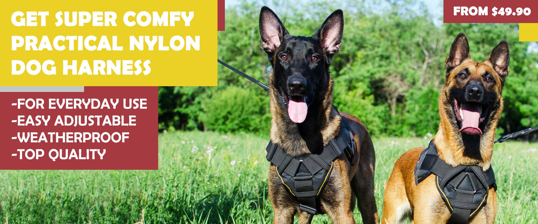 Belgian Malinois harness, Belgian Malinois dog muzzle, Belgian Malinois ...